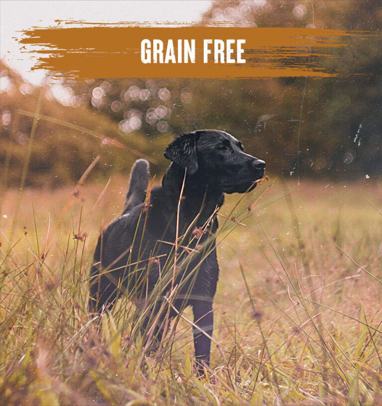 Alpha Feeds - Proper food, for proper dogs.