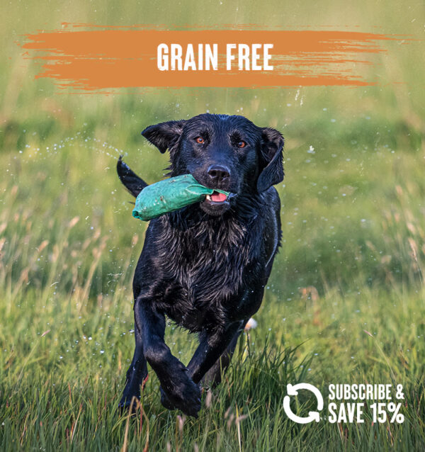 Alpha Feeds - Proper food, for proper dogs.