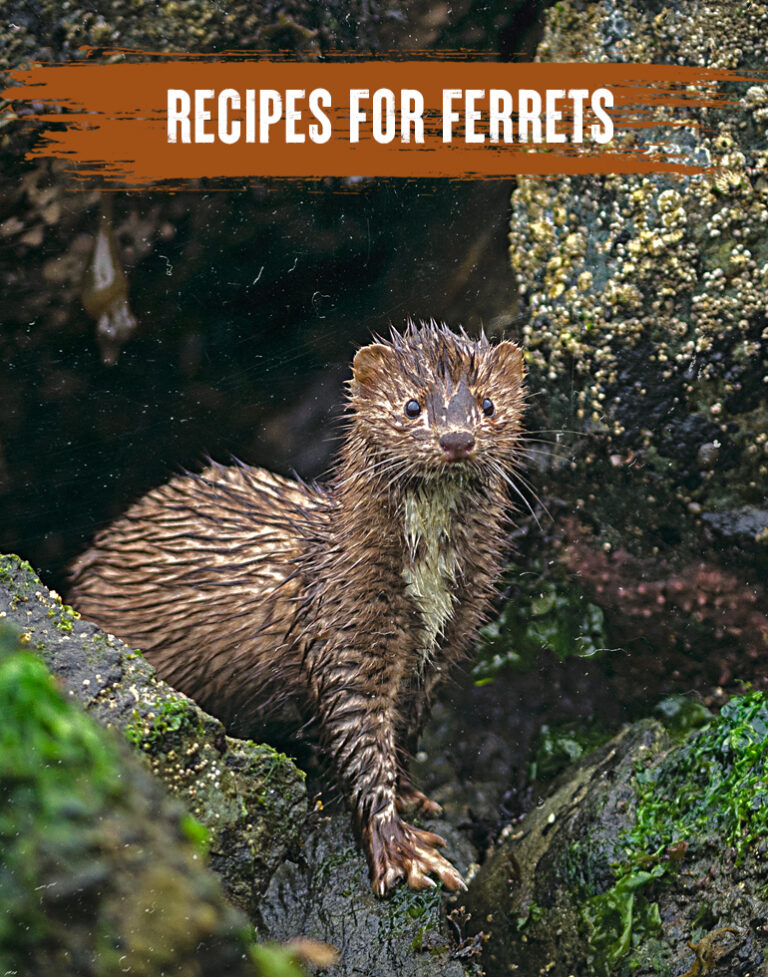 Alpha Feeds - Proper food, for proper dogs.