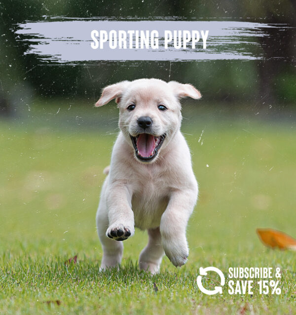 Alpha Feeds - Proper food, for proper dogs.