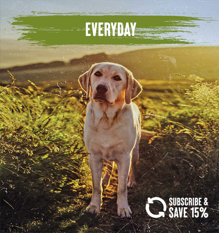 Alpha Feeds - Proper food, for proper dogs.